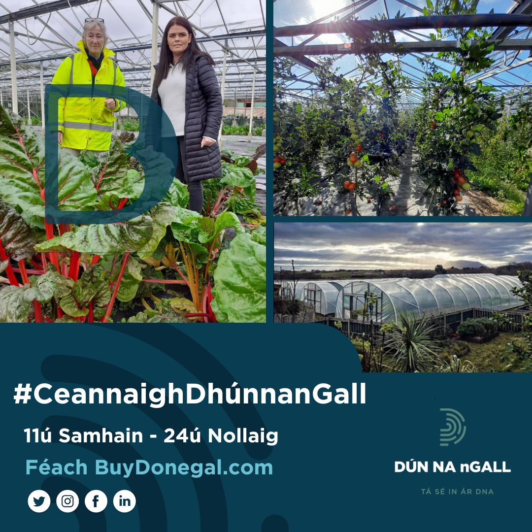 Cill Ulta sowing the seeds for sustainable food inno...