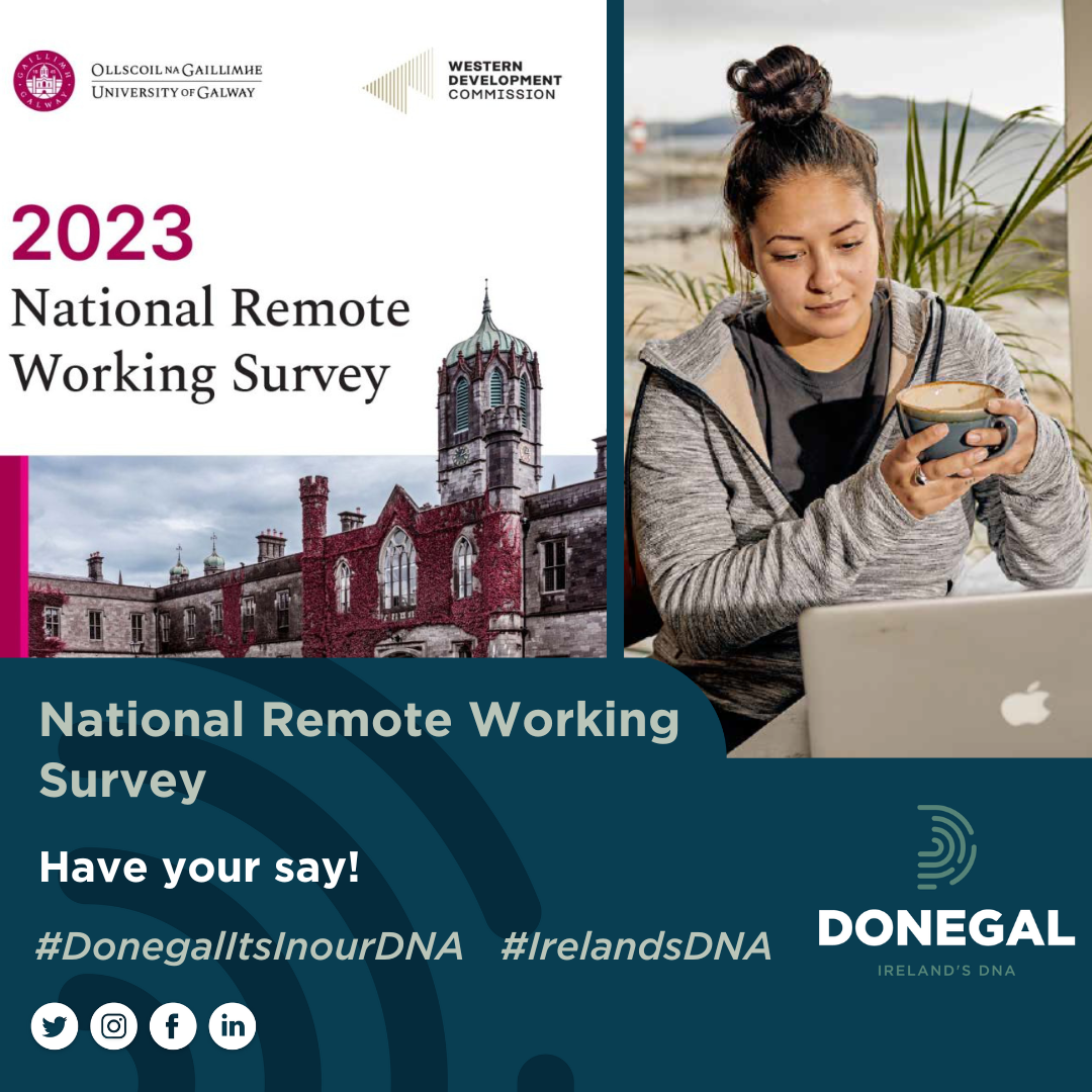 National Remote Working Survey