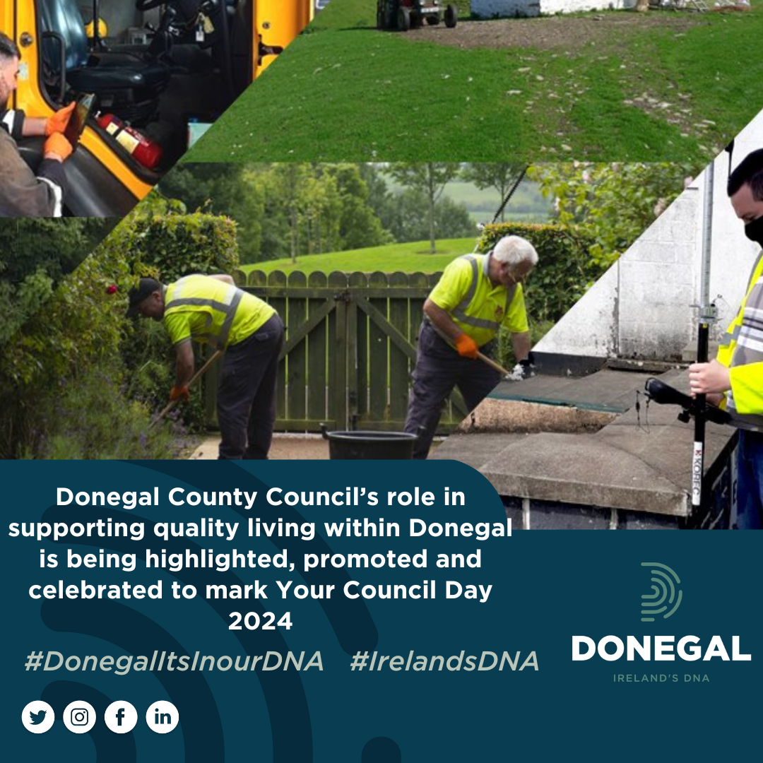 Donegal County Council’s role in promoting quality l...